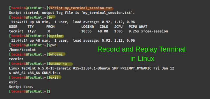 如何记录和重播 Linux 终端会话