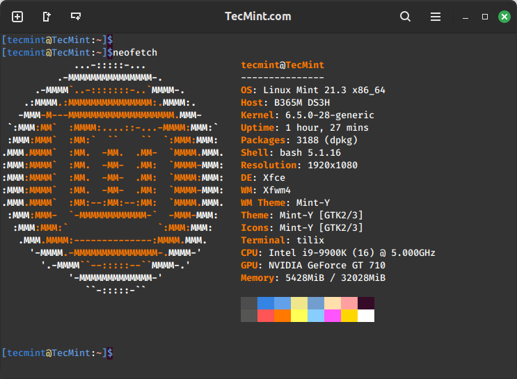 Neofetch 替代品：3 个最佳 Linux 系统信息工具 - Cdgzu.com