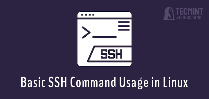 Linux 中的基本 SSH 命令用法和配置
