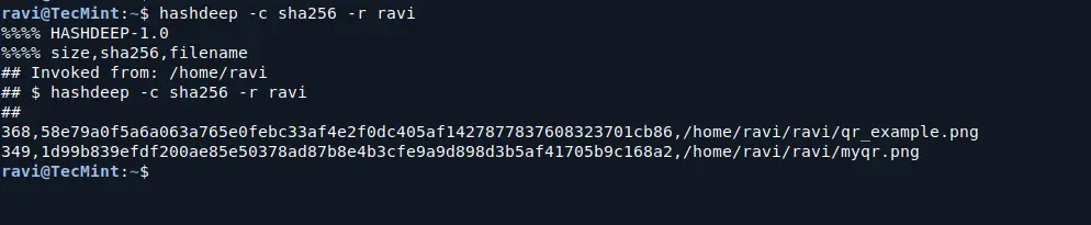 Hashdeep：Linux 中文件验证的强大工具 - Cdgzu.com