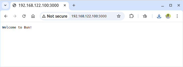 Bun：为 Linux 用户提供更快的 JavaScript 运行时 - Cdgzu.com