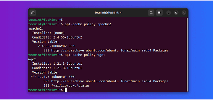 6有用的APT-CACHE命令示例Ubuntu